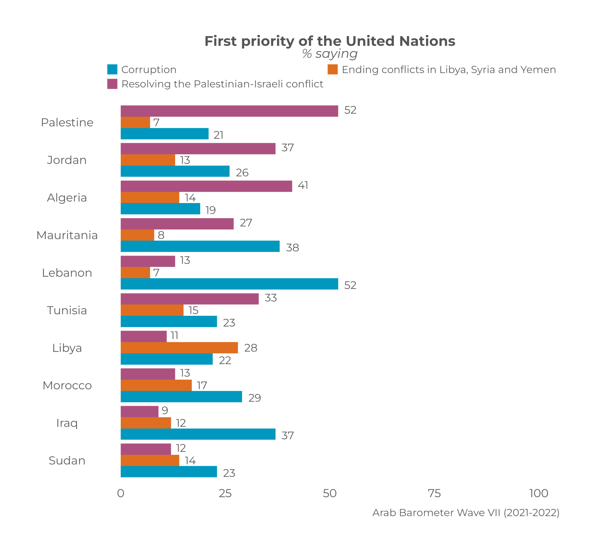 Arab Views on the United Nations: Navigating Conflict, Corruption, and ...