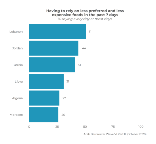 Fact Sheet: MENA Region Economy – Arab Barometer