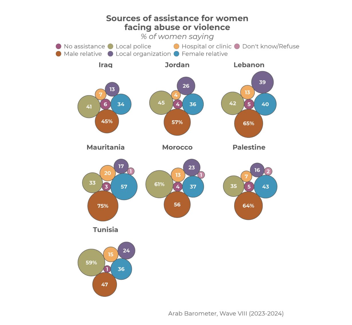 Arab Barometer Examines MENA Gender Dynamics Ahead of International ...